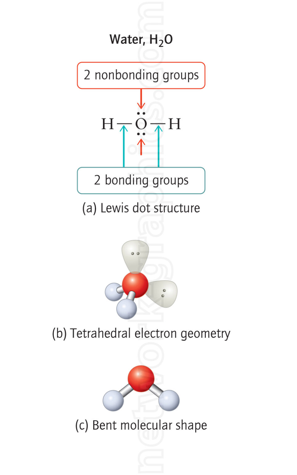 Molecular Geometry and Structure of Water (H₂O) | Network Graphics Inc.