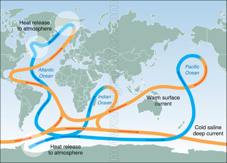 Global Ocean Currents and Heat Transfer | Network Graphics Inc.